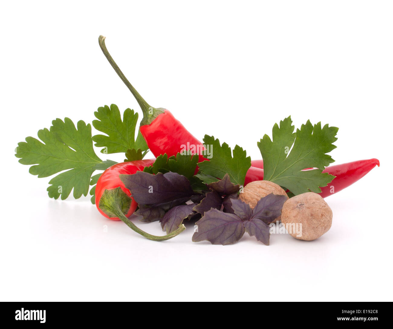 Hot red chili or chilli pepper and aromatic herbs leaves still life ...