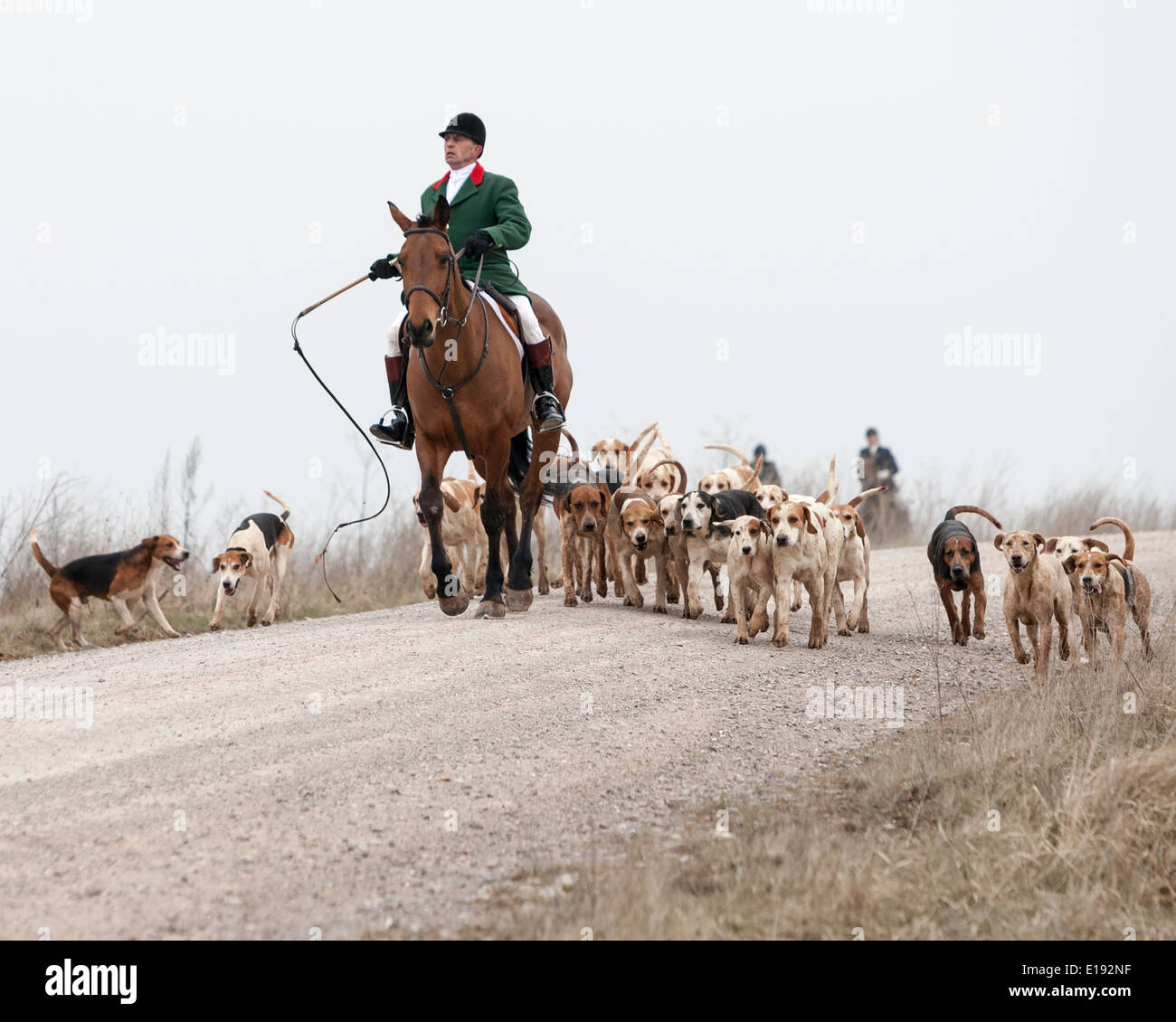 Huntsman with whip hi-res stock photography and images - Alamy