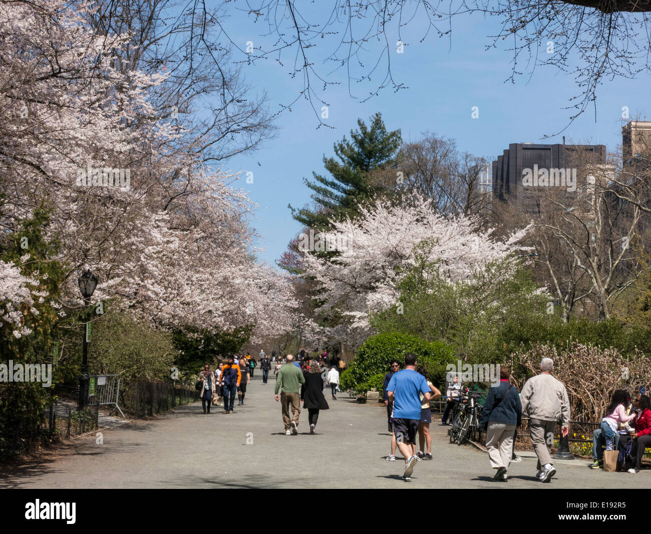 Crowds people on busy hi-res stock photography and images - Alamy