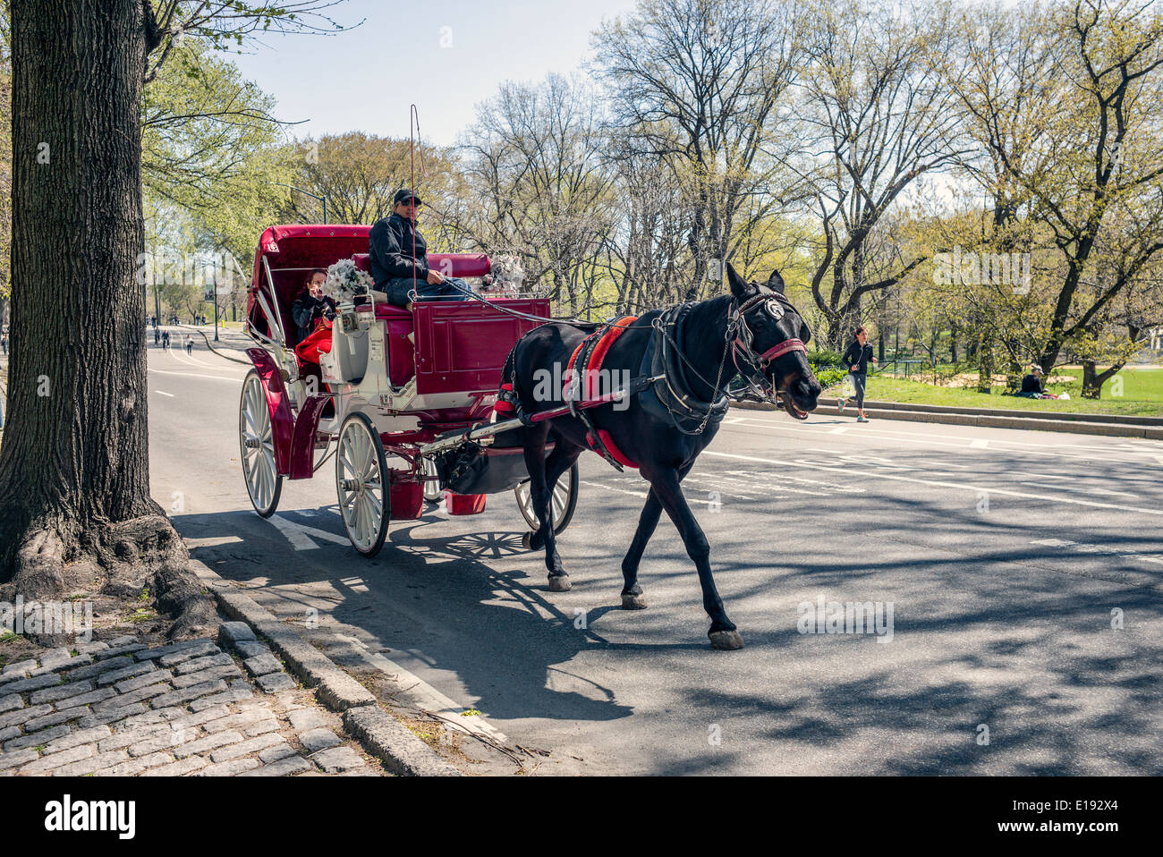 Tourists ride a horse carriage tour through New York's Central Park in ...