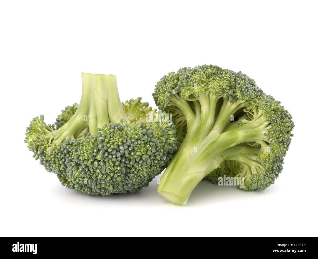 Broccoli vegetable isolated on white background Stock Photo - Alamy