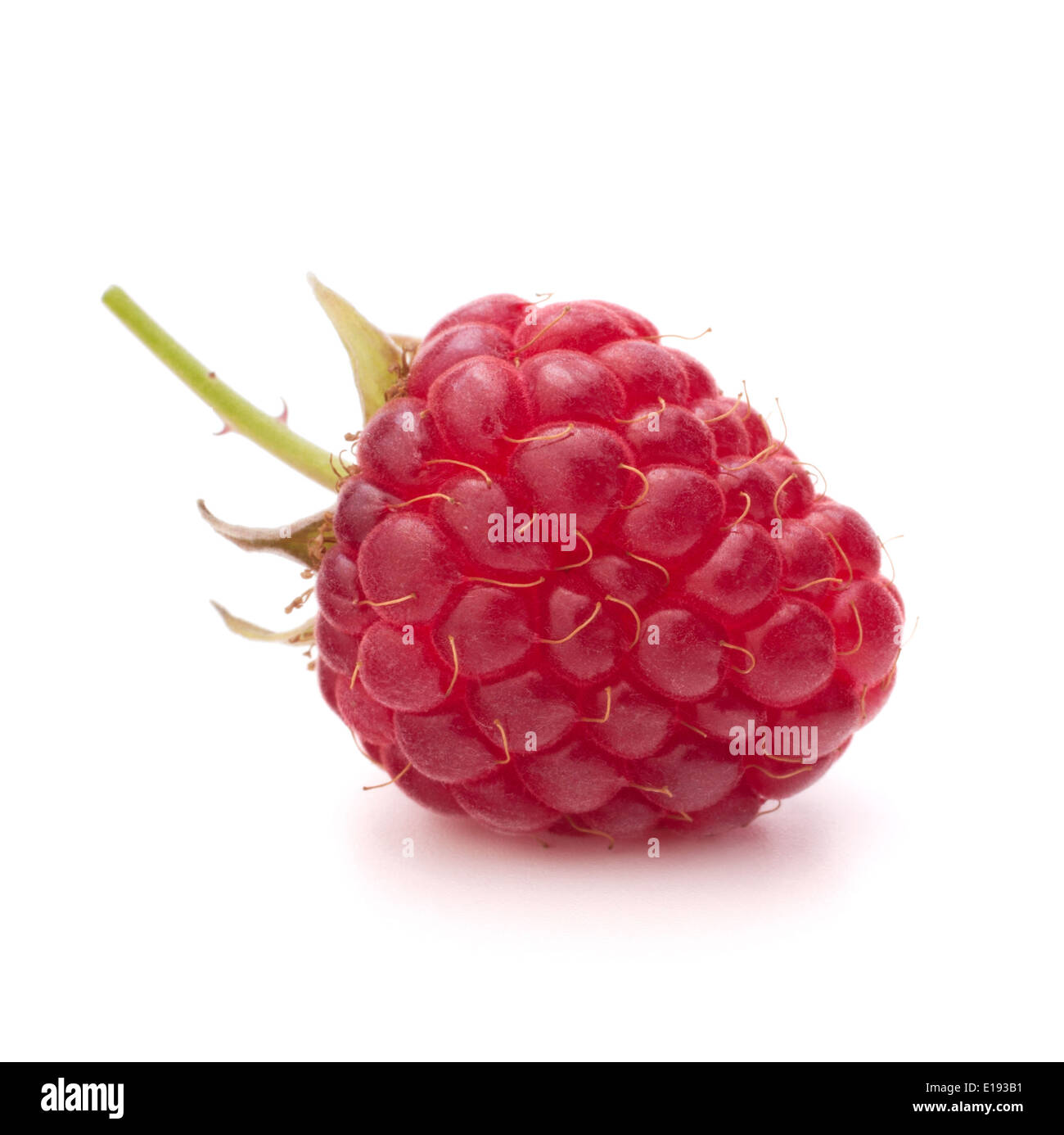 Sweet raspberry isolated on white background cutout Stock Photo - Alamy