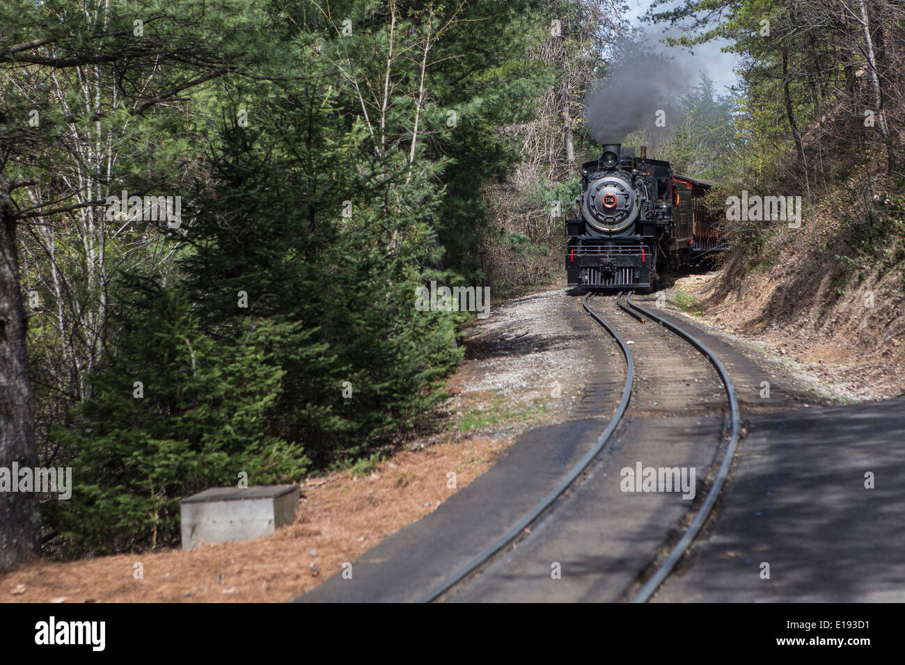 The narrow gauge Dollywood Express steam train is pictured in Dollywood ...