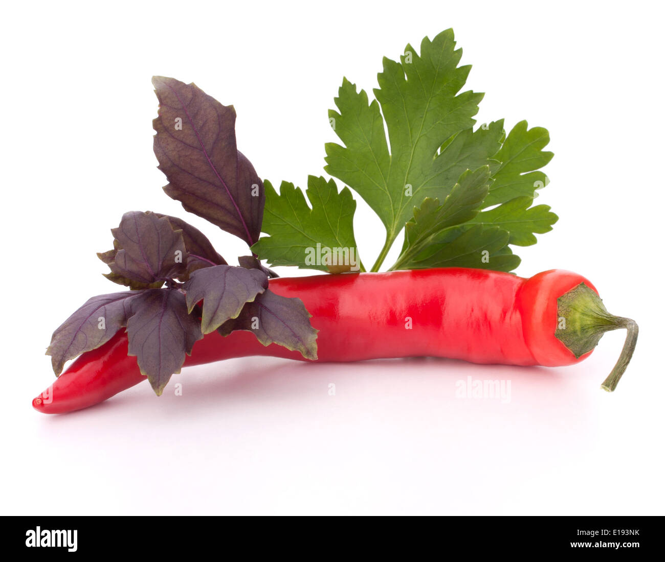 Hot red chili or chilli pepper and aromatic herbs leaves still life ...
