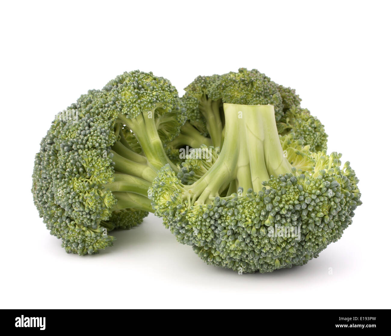 Broccoli vegetable isolated on white background Stock Photo - Alamy