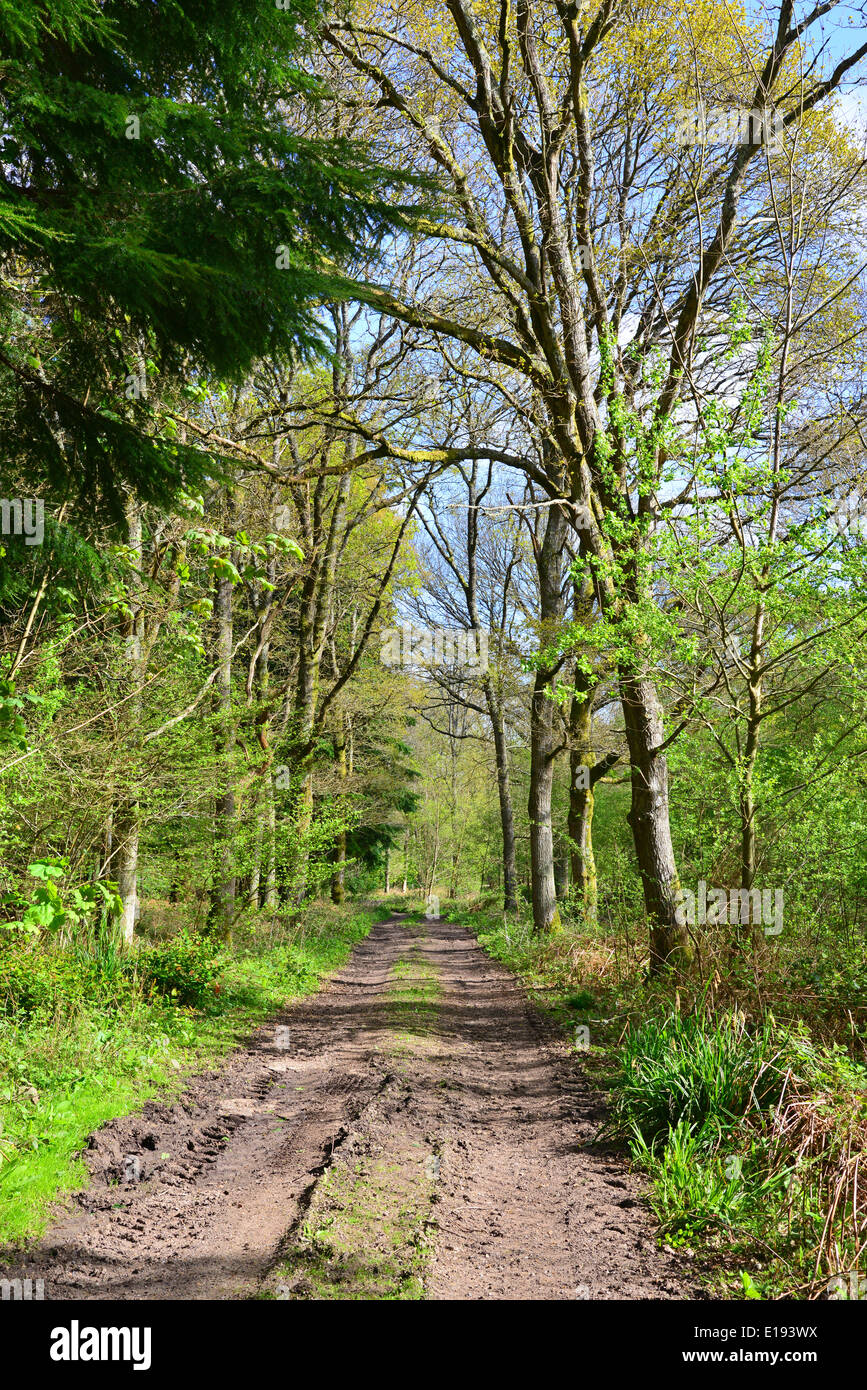 Coldwaltham, West Sussex Stock Photo - Alamy