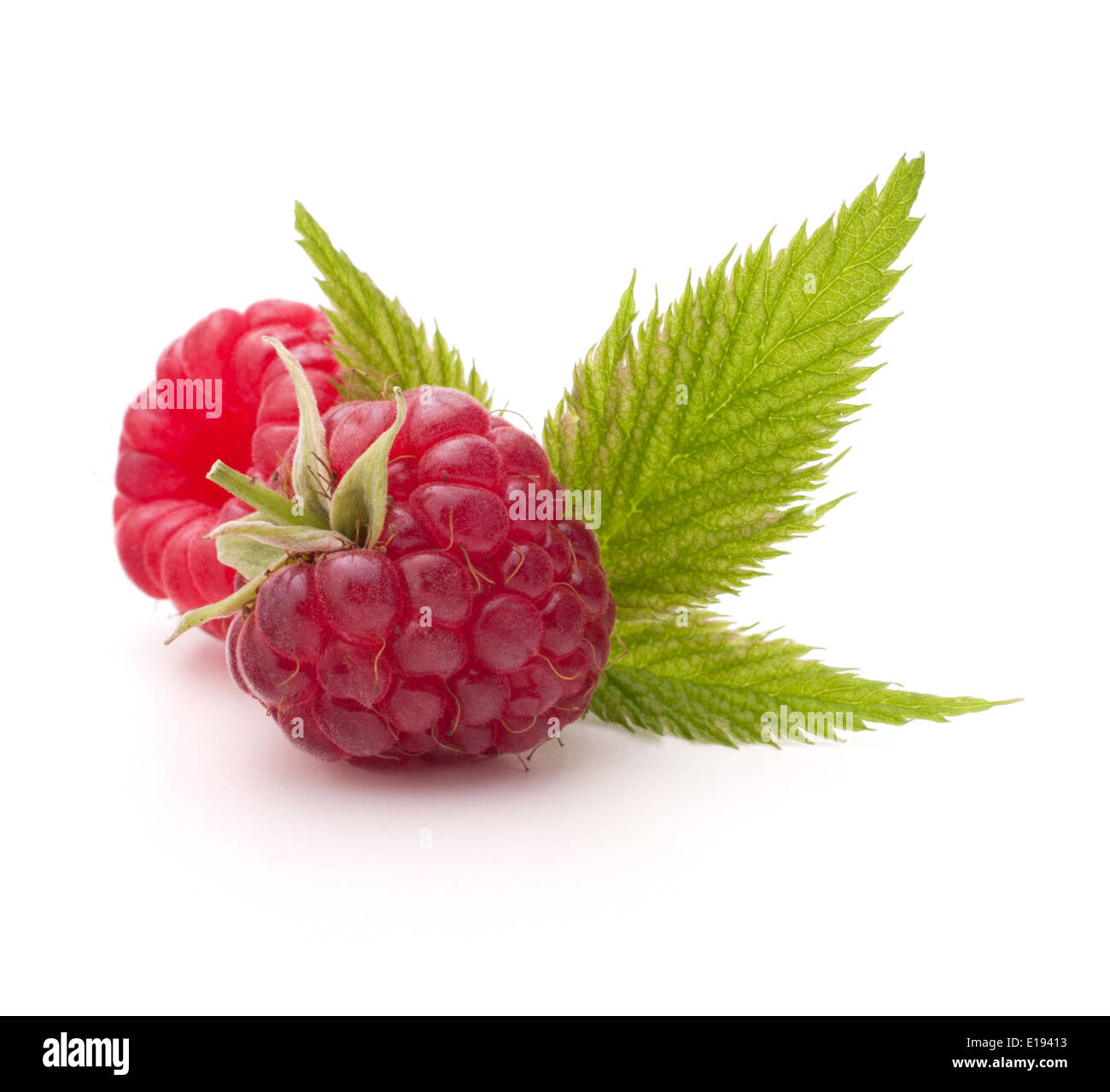 Sweet raspberry isolated on white background cutout Stock Photo - Alamy