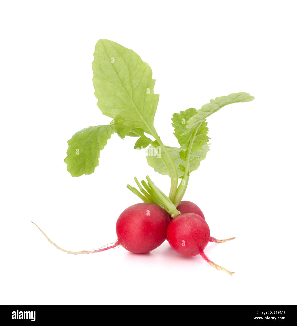 Small garden radish with leaves isolated on white background cutout ...