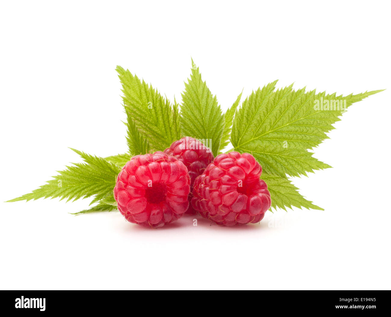 Sweet raspberry isolated on white background cutout Stock Photo - Alamy