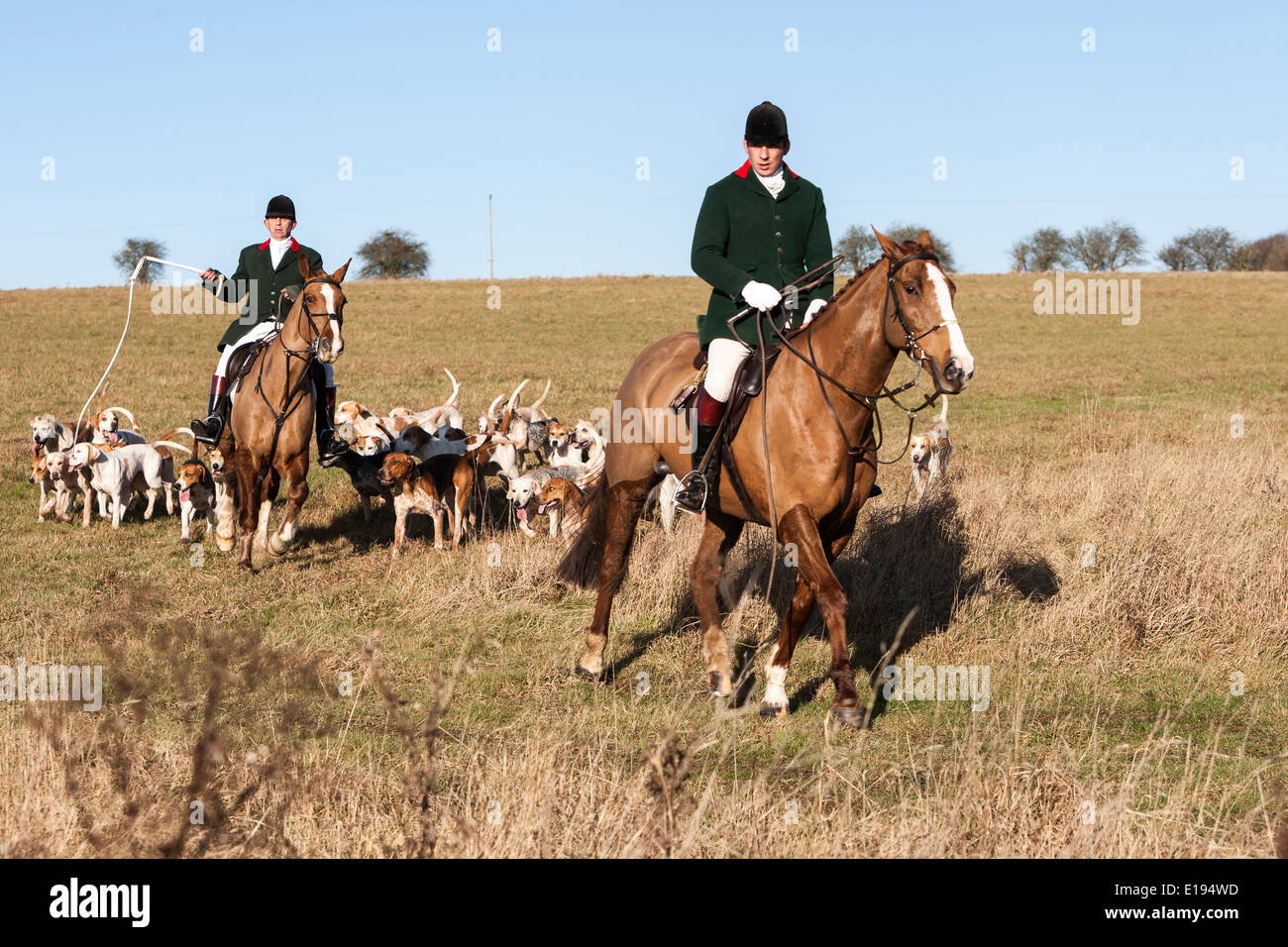 Foxhunting hi-res stock photography and images - Alamy