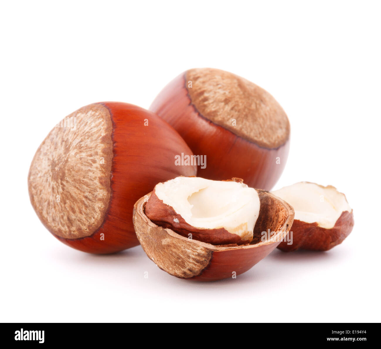 Filbert nut hi-res stock photography and images - Alamy