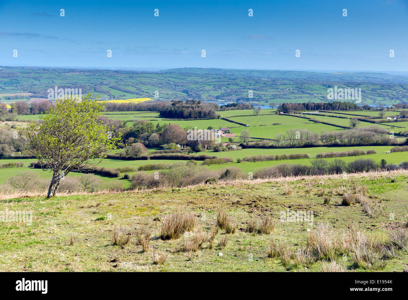 View from Black Down the highest hill in the Mendip Hills Somerset in ...