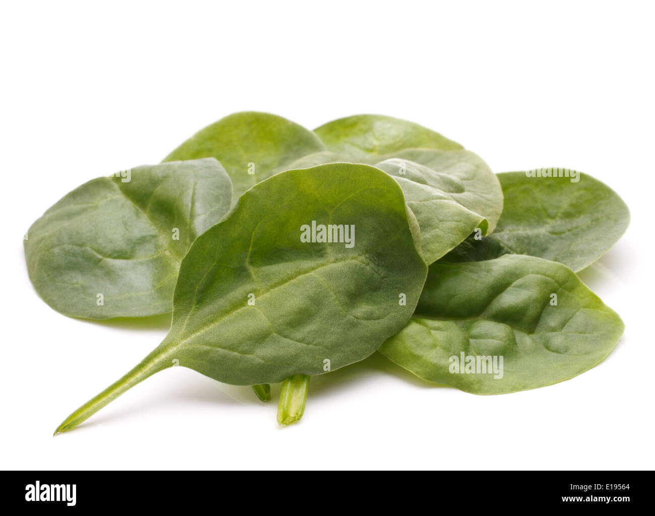 Spinach vegetables isolated on white background cutout Stock Photo - Alamy