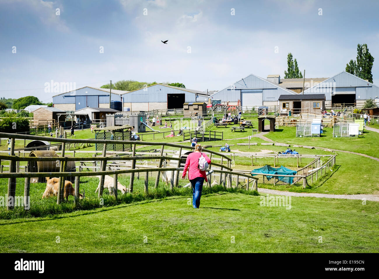 Hadleigh farm hi-res stock photography and images - Alamy