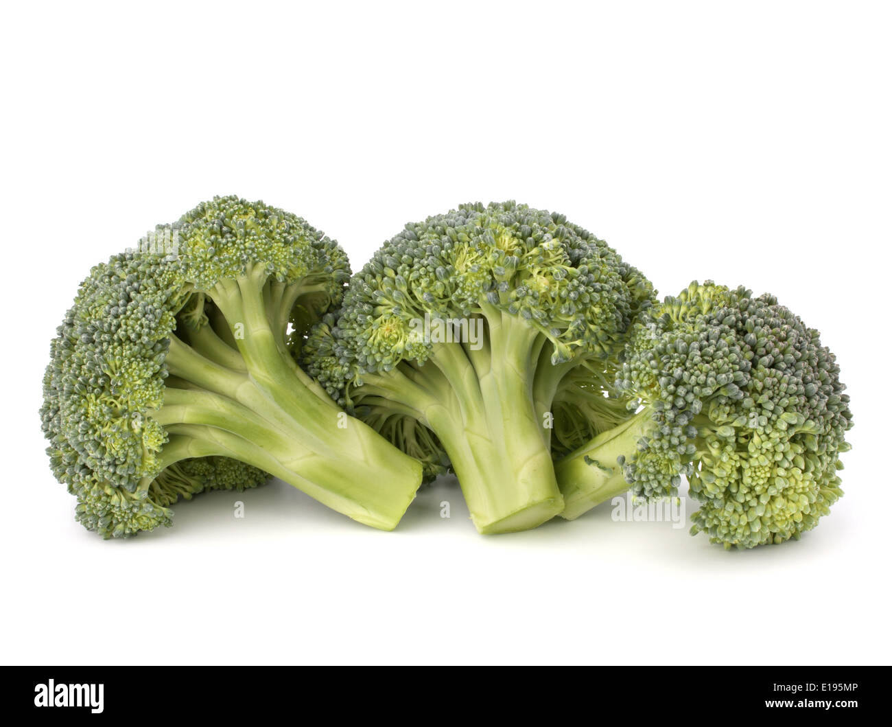 Broccoli vegetable isolated on white background Stock Photo - Alamy