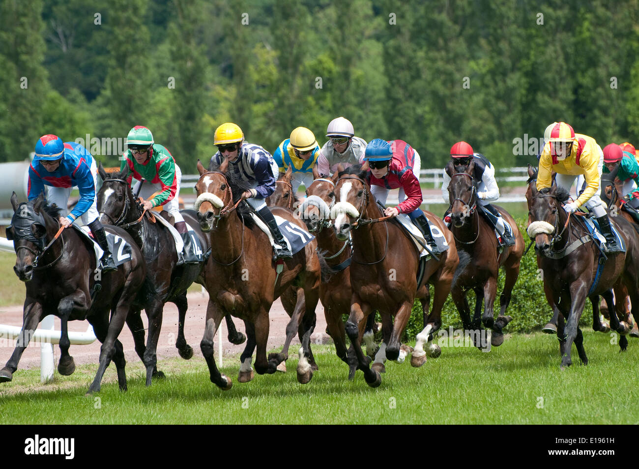 horse racing at vire racecourse, calvados, normandy, france Stock Photo ...