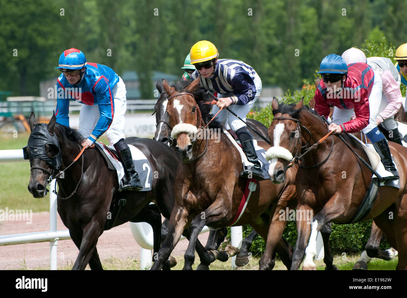 horse racing at vire racecourse, calvados, normandy, france Stock Photo ...