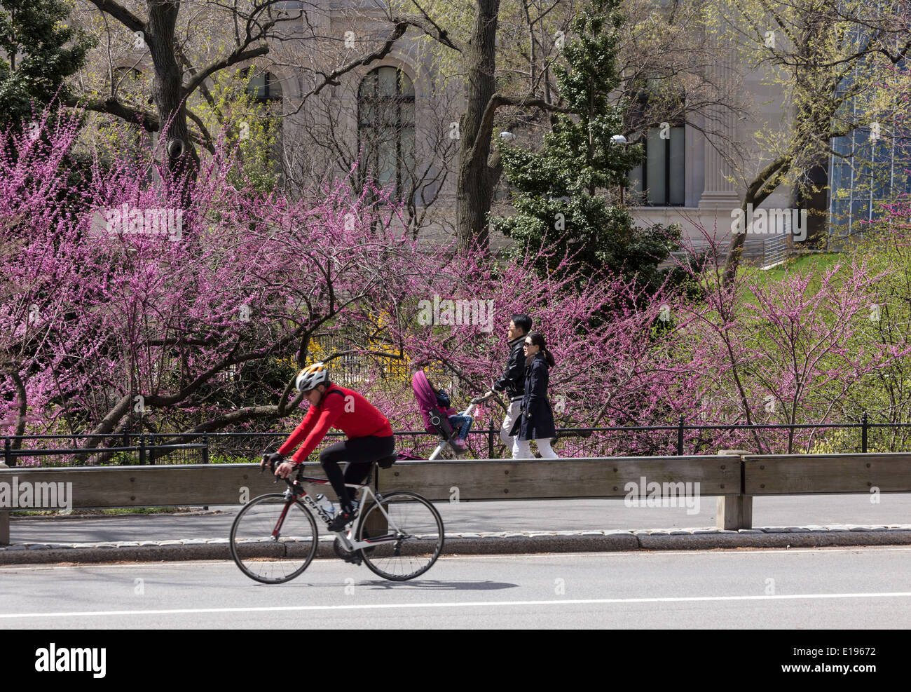 People Enjoying the Springtime in Central Park, NYC, USA Stock Photo ...