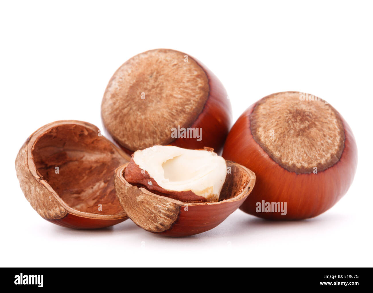 Filbert nut Cut Out Stock Images & Pictures - Alamy