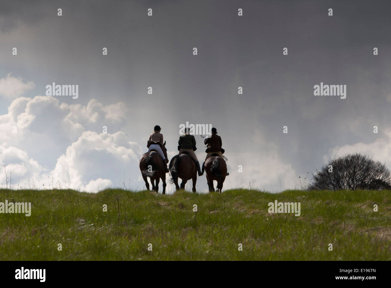 Three horse riders on hill with rain falling in distance Stock Photo ...