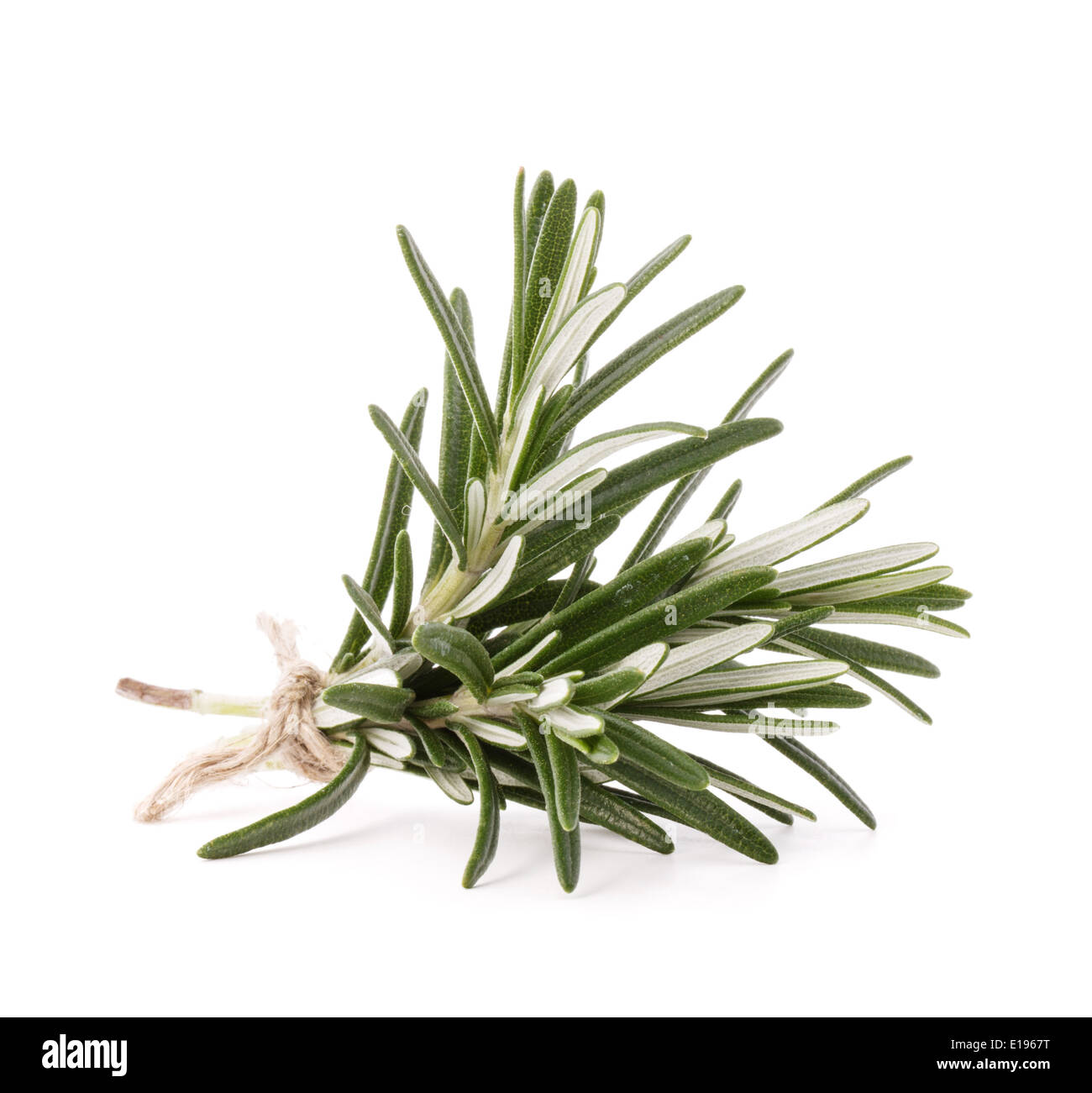 rosemary herb spice leaves isolated on white background cutout Stock ...