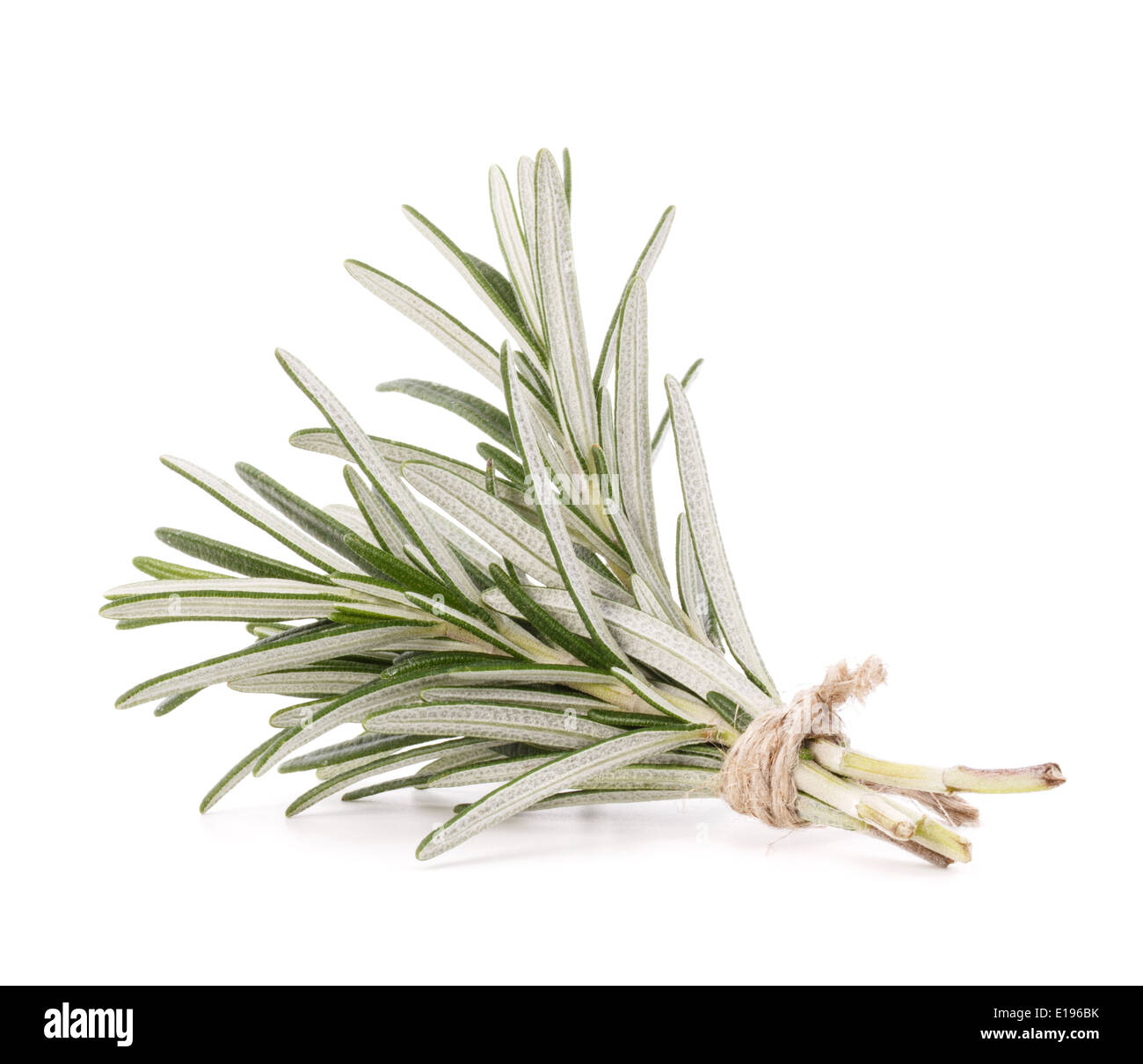 rosemary herb spice leaves isolated on white background cutout Stock ...