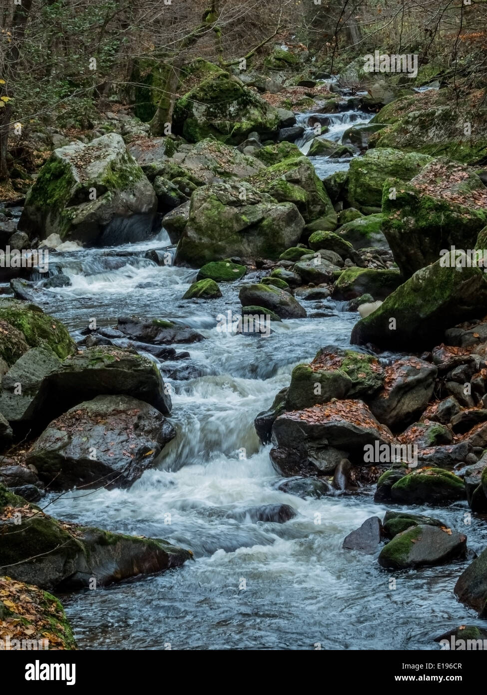 Ein Bach mit Steinen und fliessendem Wasser. Landschaft erleben in der ...