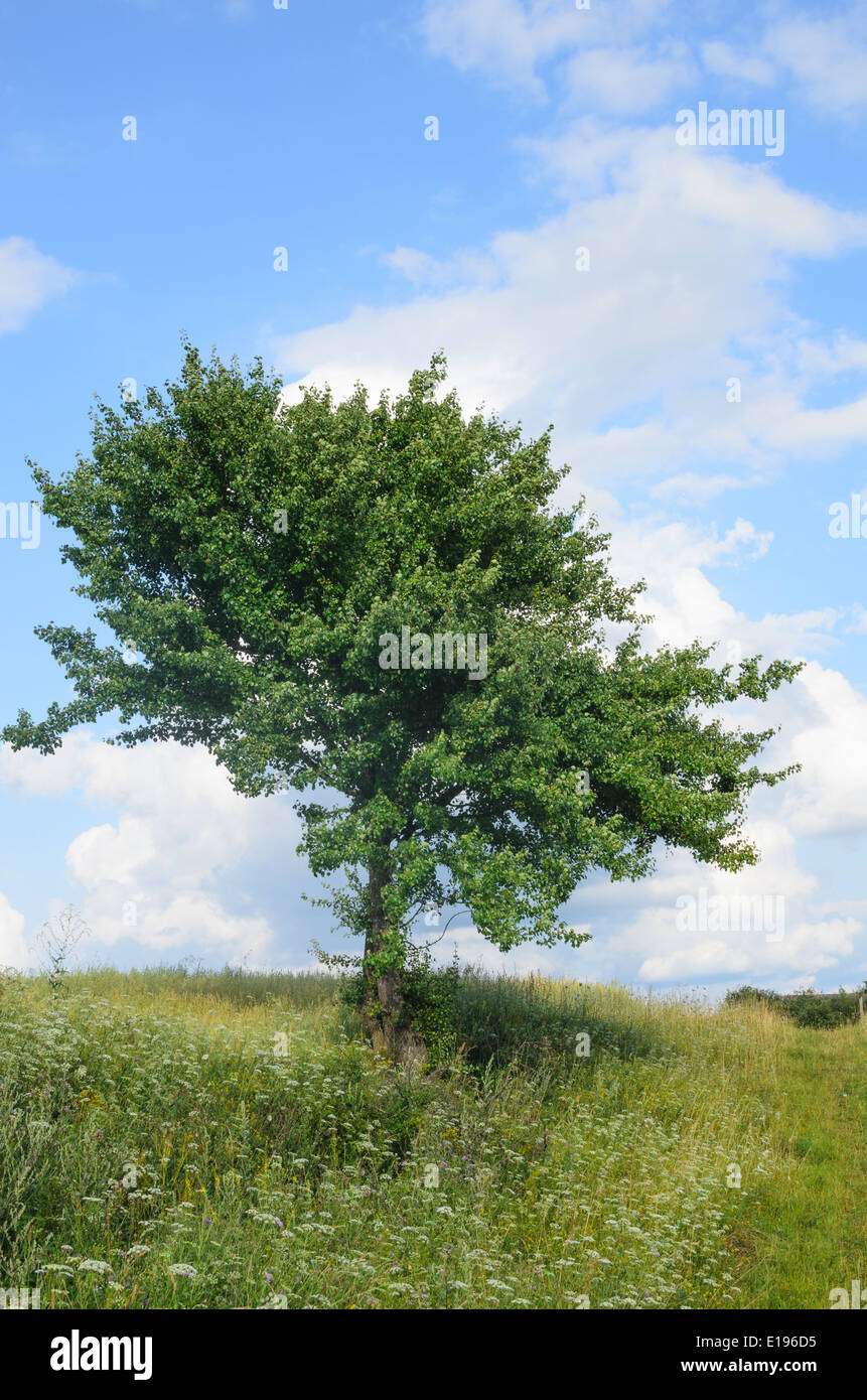 Lonely environment hi-res stock photography and images - Alamy