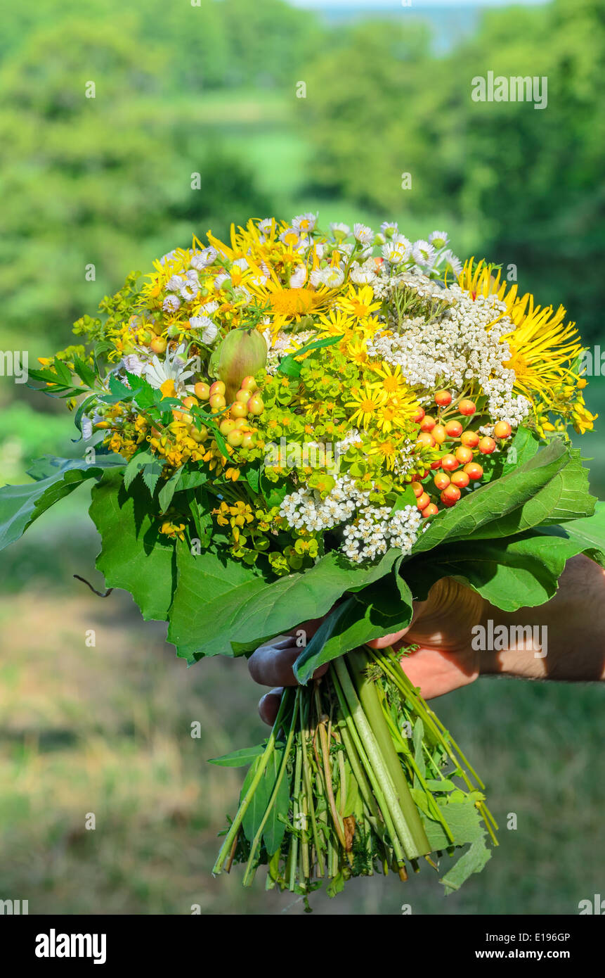 hand holding bunch of flowers Stock Photo - Alamy