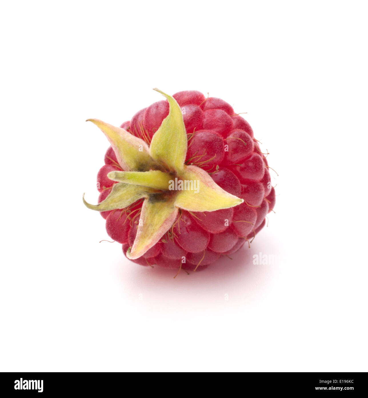 One raspberry cutout hi-res stock photography and images - Alamy