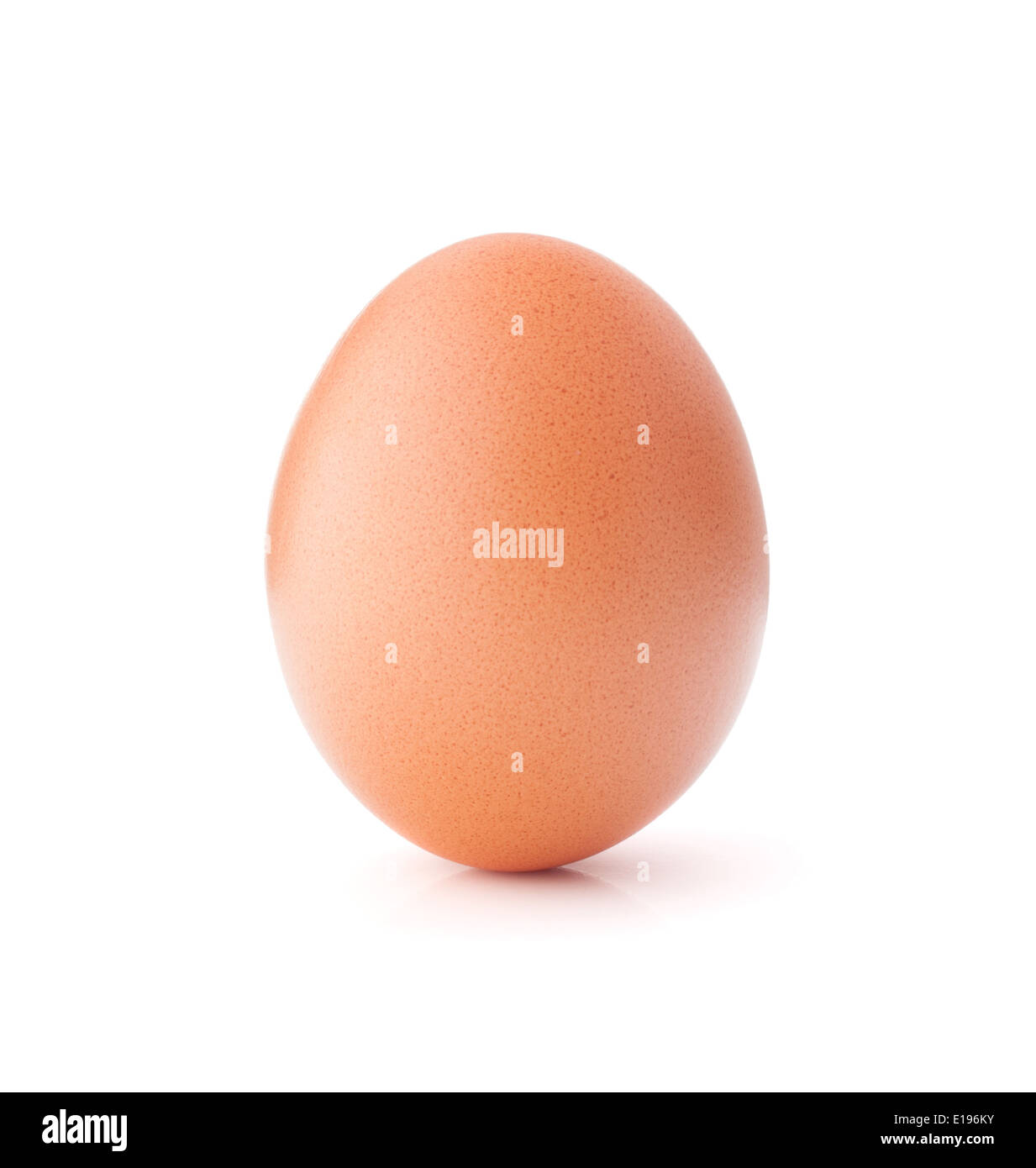 Egg isolated on white background cutout Stock Photo - Alamy