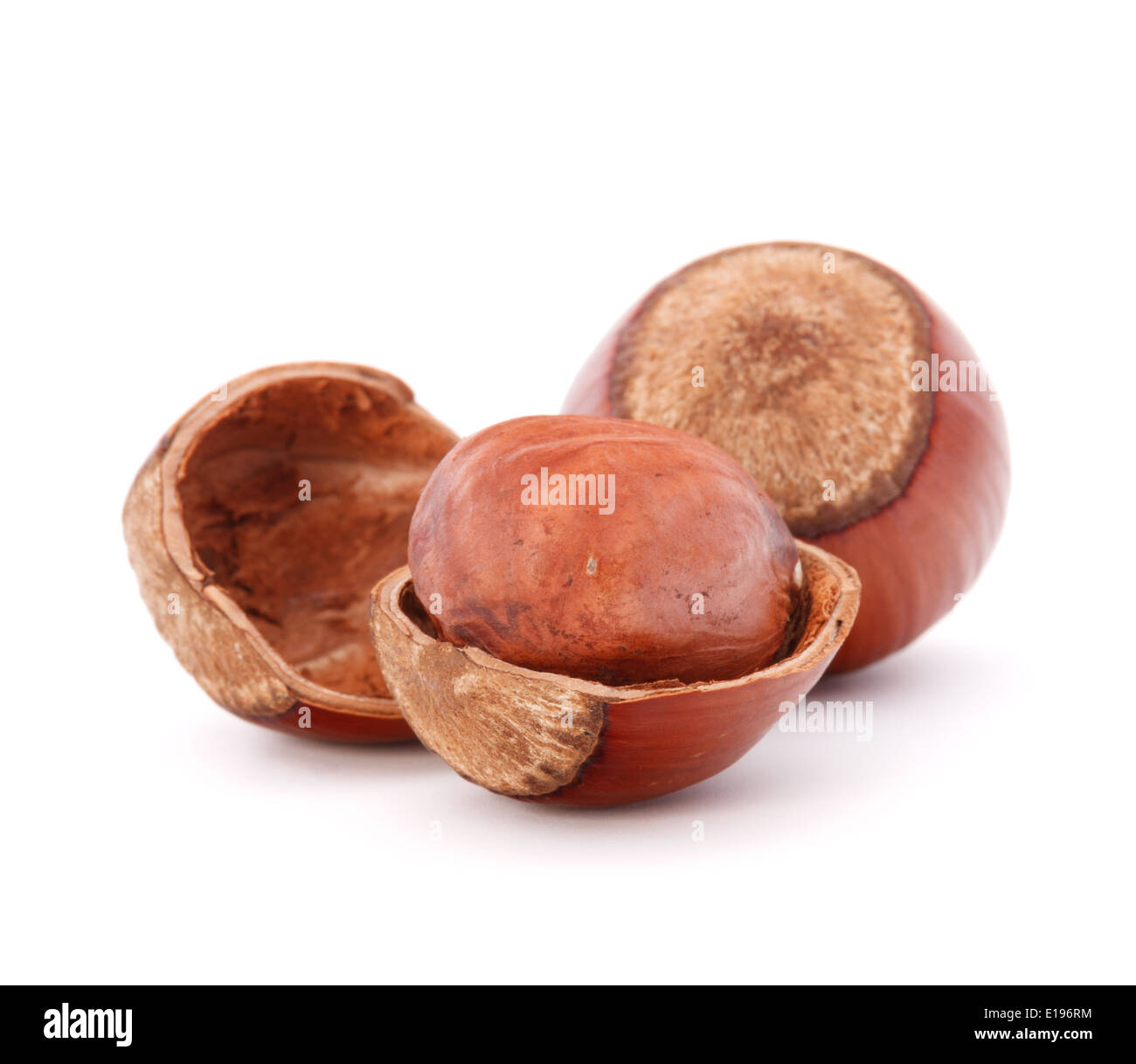 hazelnut or filbert nut isolated on white background cutout Stock Photo ...