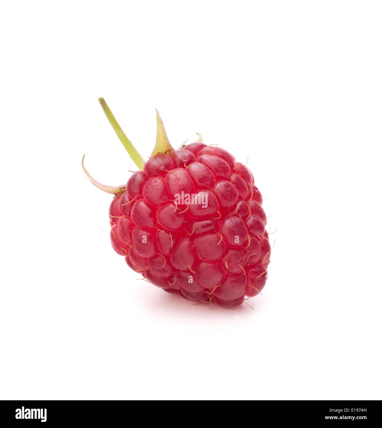 Sweet raspberry isolated on white background cutout Stock Photo - Alamy