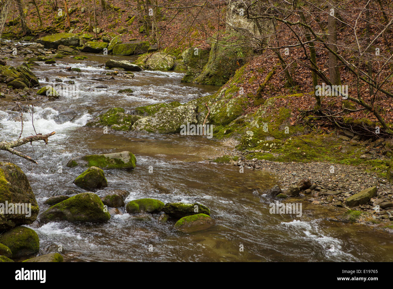 The Little River is pictured by Old State Hwy 73 in the Great Smoky ...