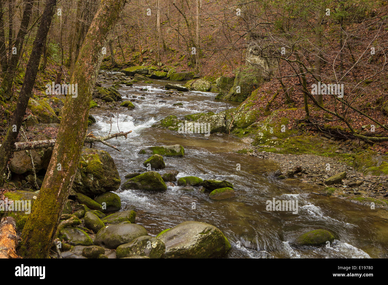 The Little River is pictured by Old State Hwy 73 in the Great Smoky ...