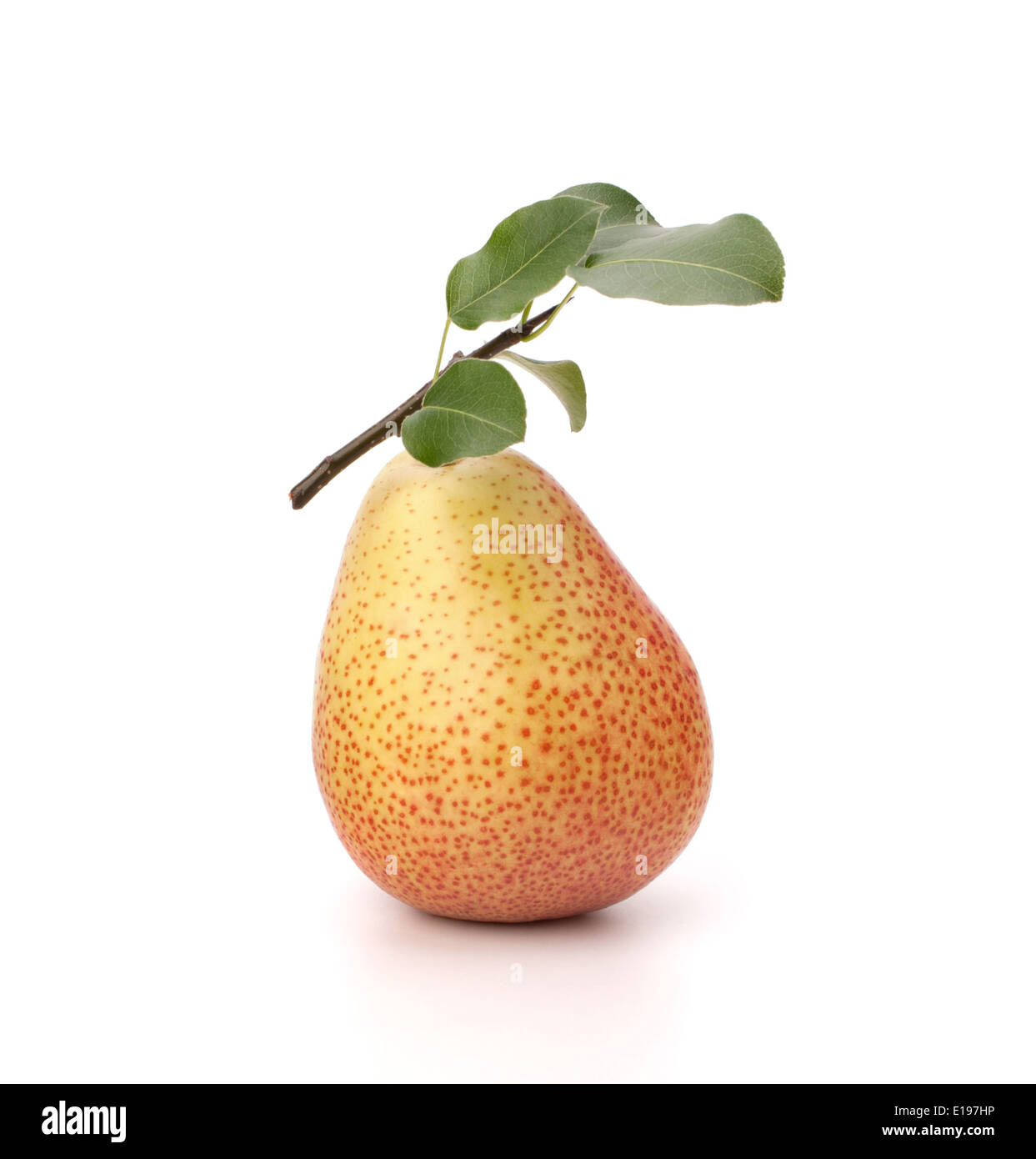 Pear isolated on white background Stock Photo - Alamy