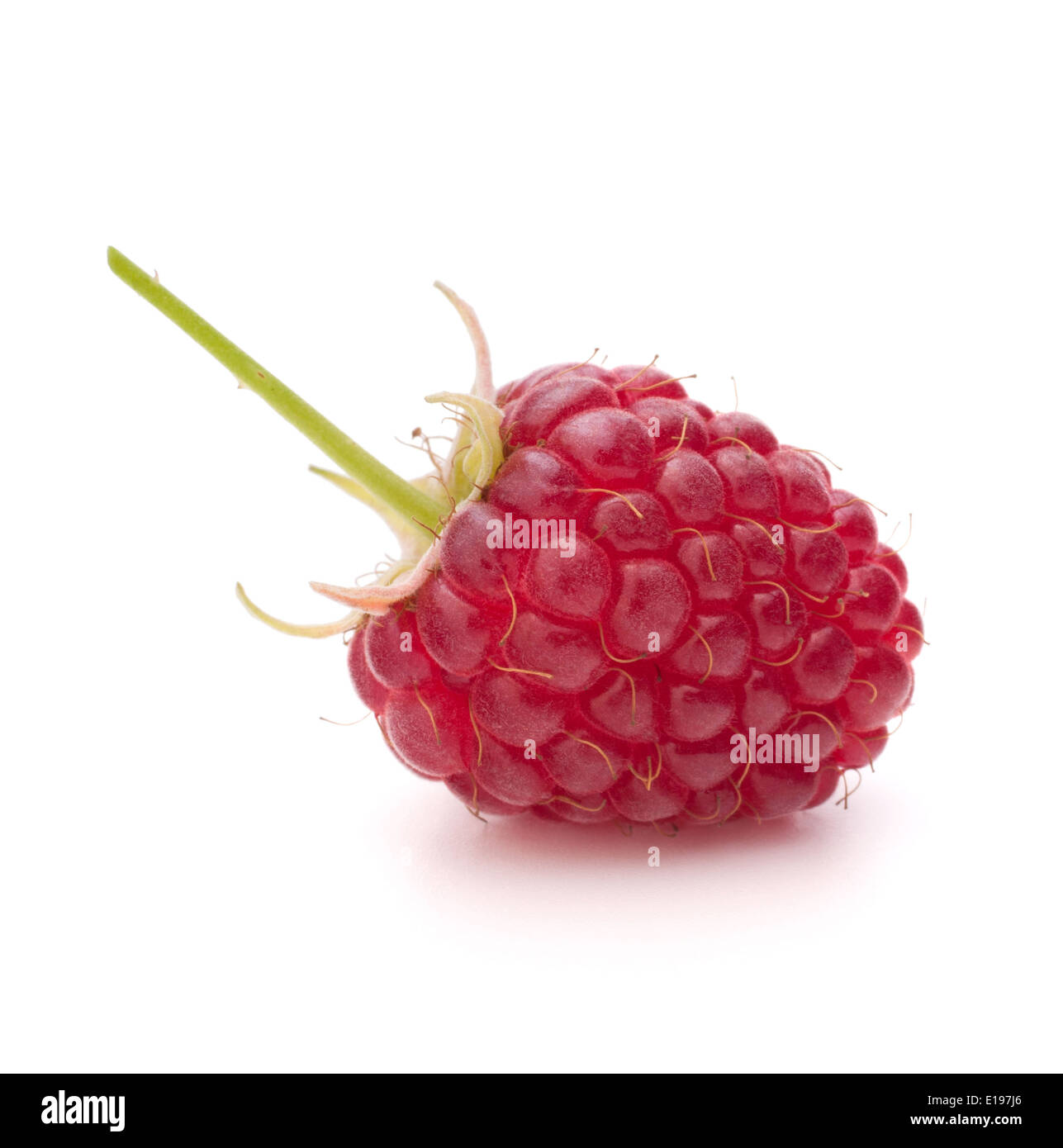 Sweet raspberry isolated on white background cutout Stock Photo - Alamy