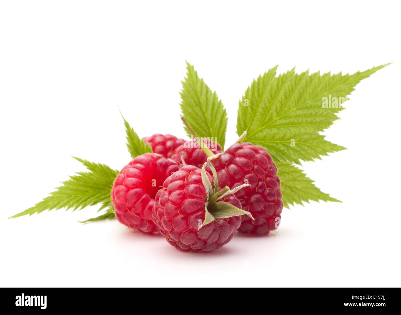 Sweet raspberry isolated on white background cutout Stock Photo - Alamy