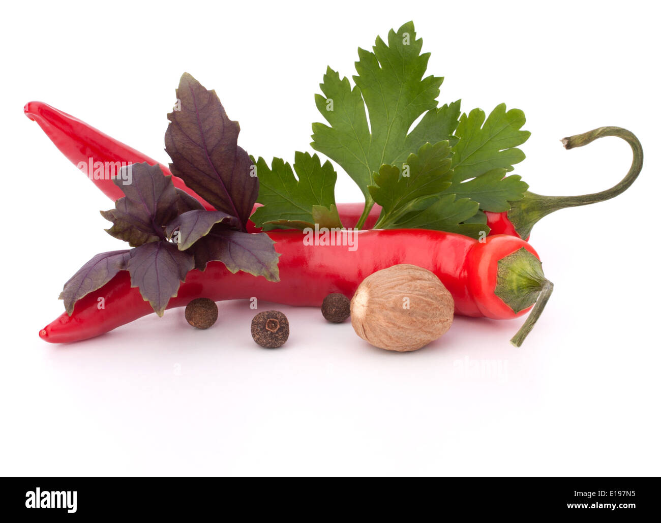 Hot red chili or chilli pepper and aromatic herbs leaves still life ...