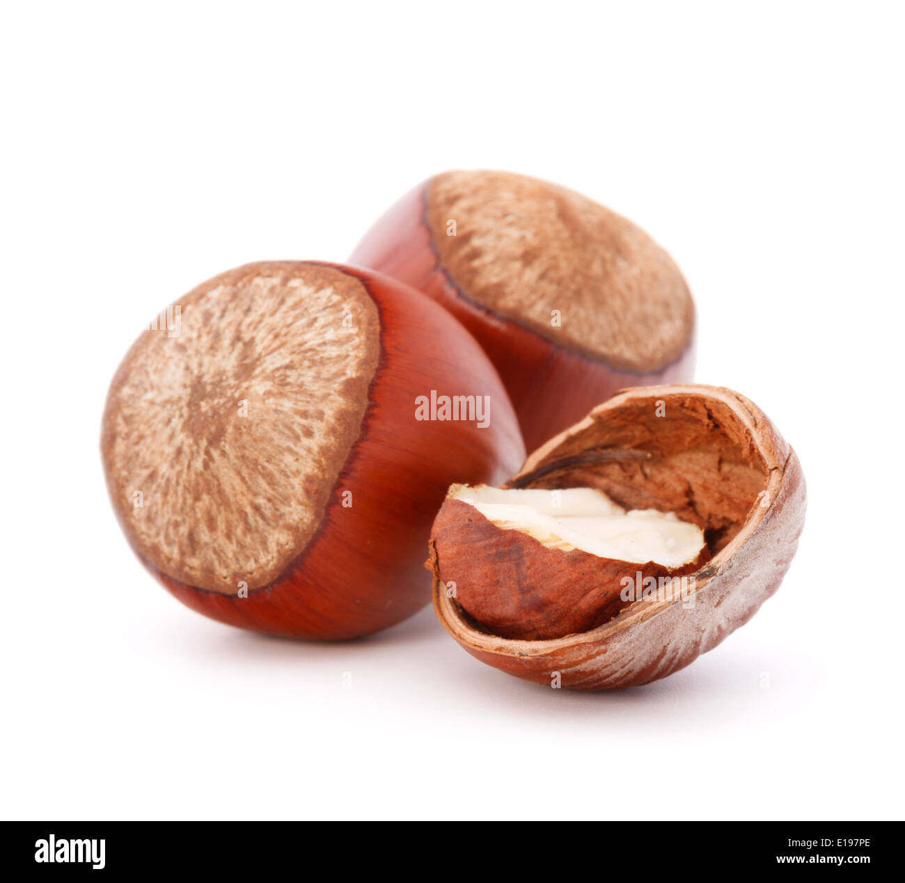 hazelnut or filbert nut isolated on white background cutout Stock Photo ...
