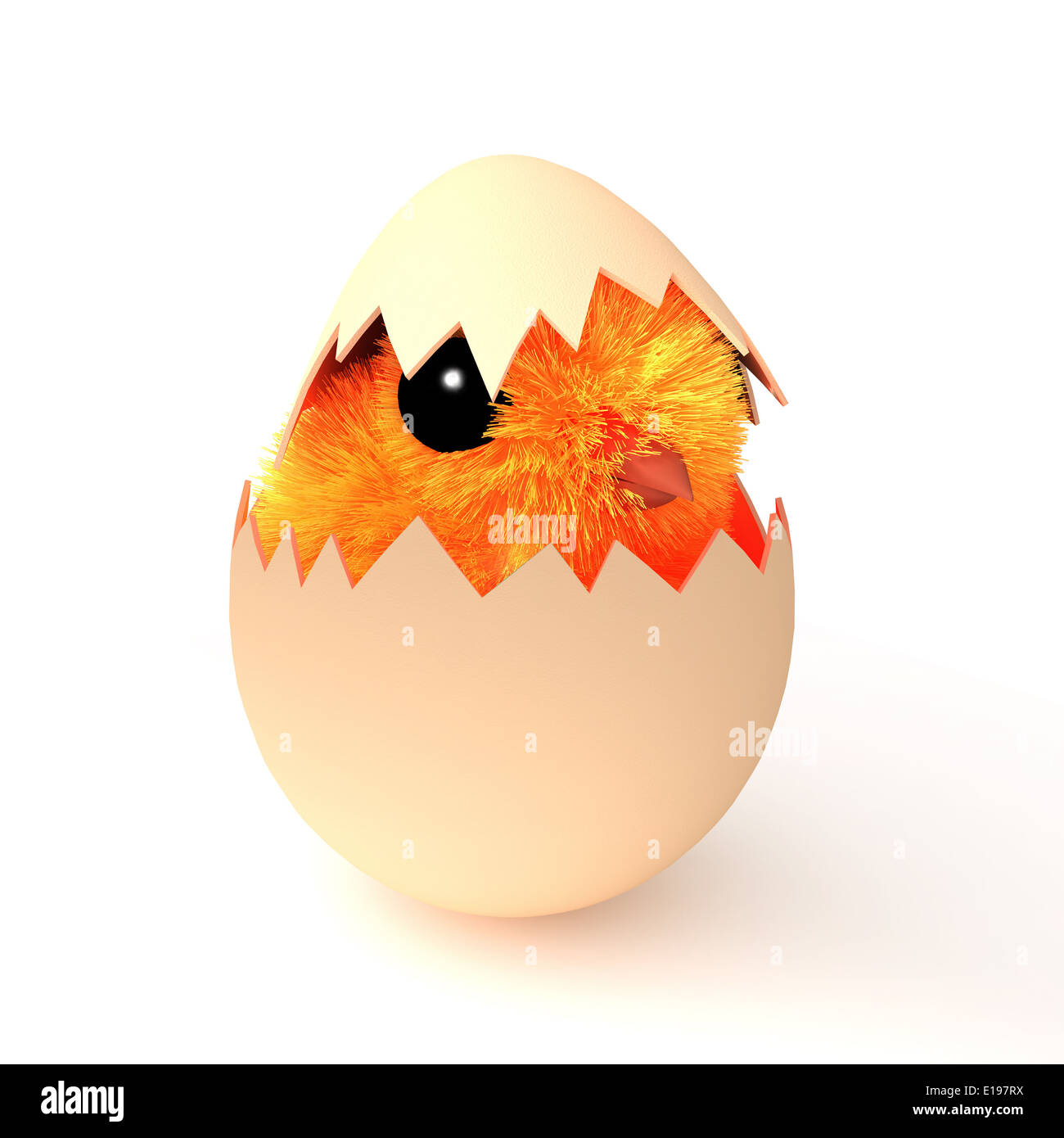 Chick hatches from egg hi-res stock photography and images - Alamy