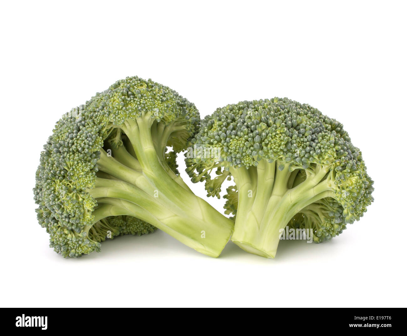Broccoli vegetable isolated on white background Stock Photo - Alamy