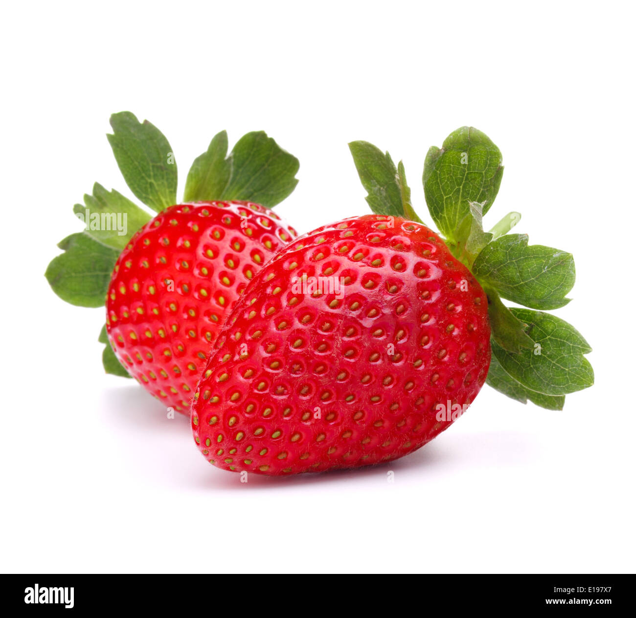 Strawberry isolated on white background cutout Stock Photo - Alamy