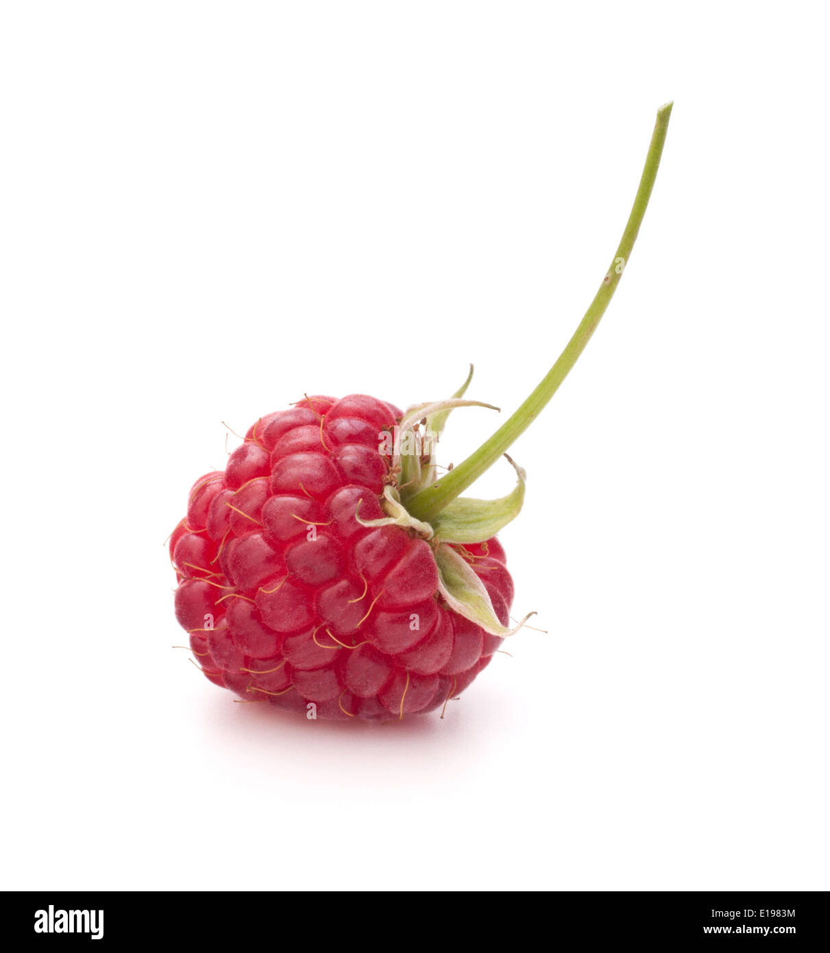 Sweet raspberry isolated on white background cutout Stock Photo - Alamy