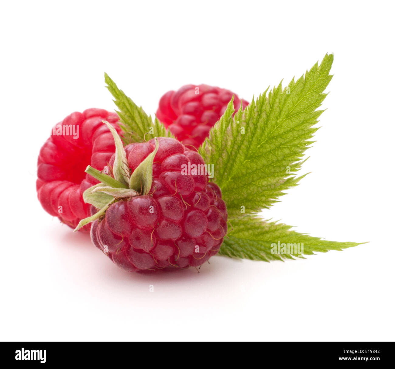 Sweet raspberry isolated on white background cutout Stock Photo - Alamy