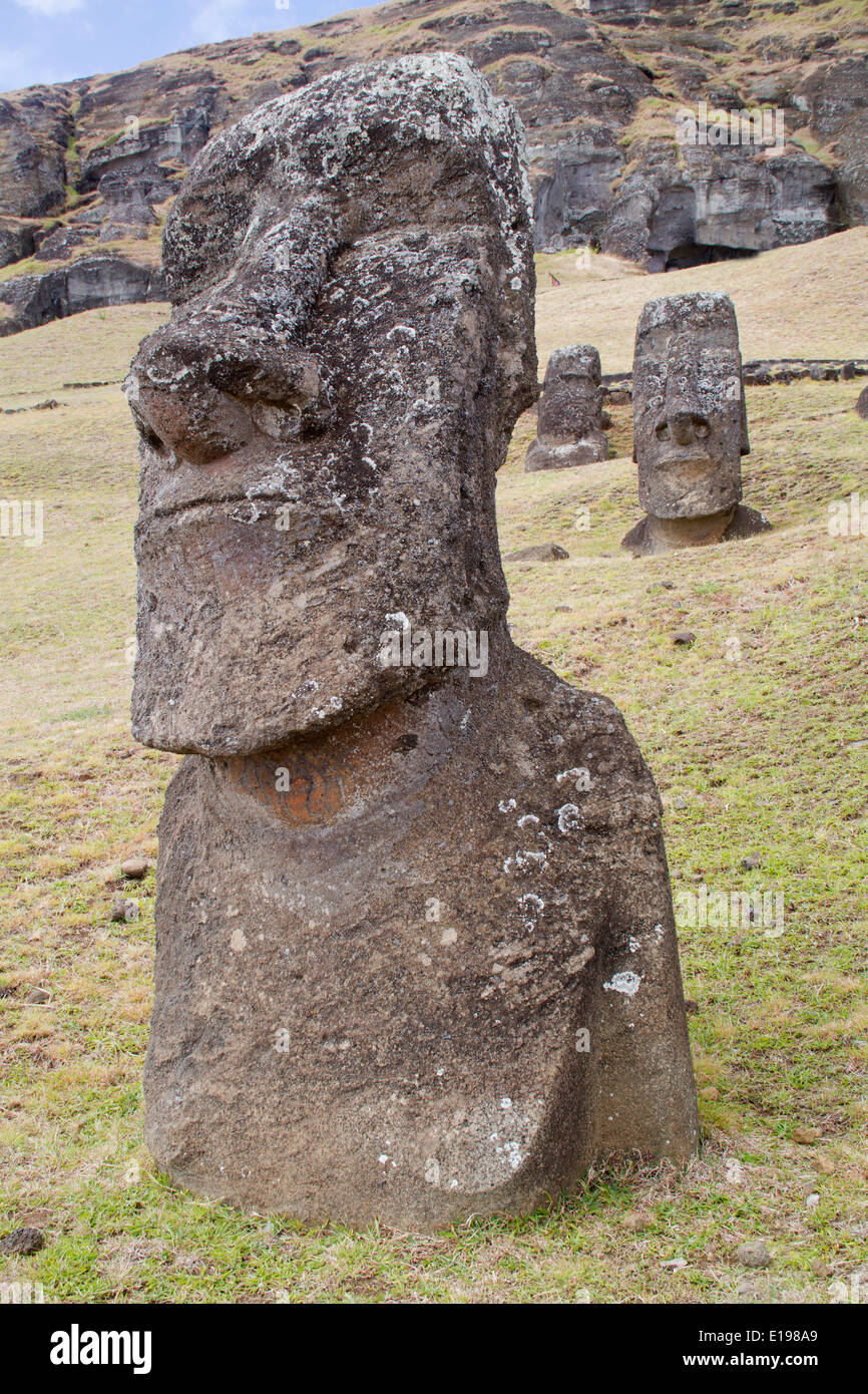 Statues called moai carved from volcanic tuff rock at the quarry on the ...