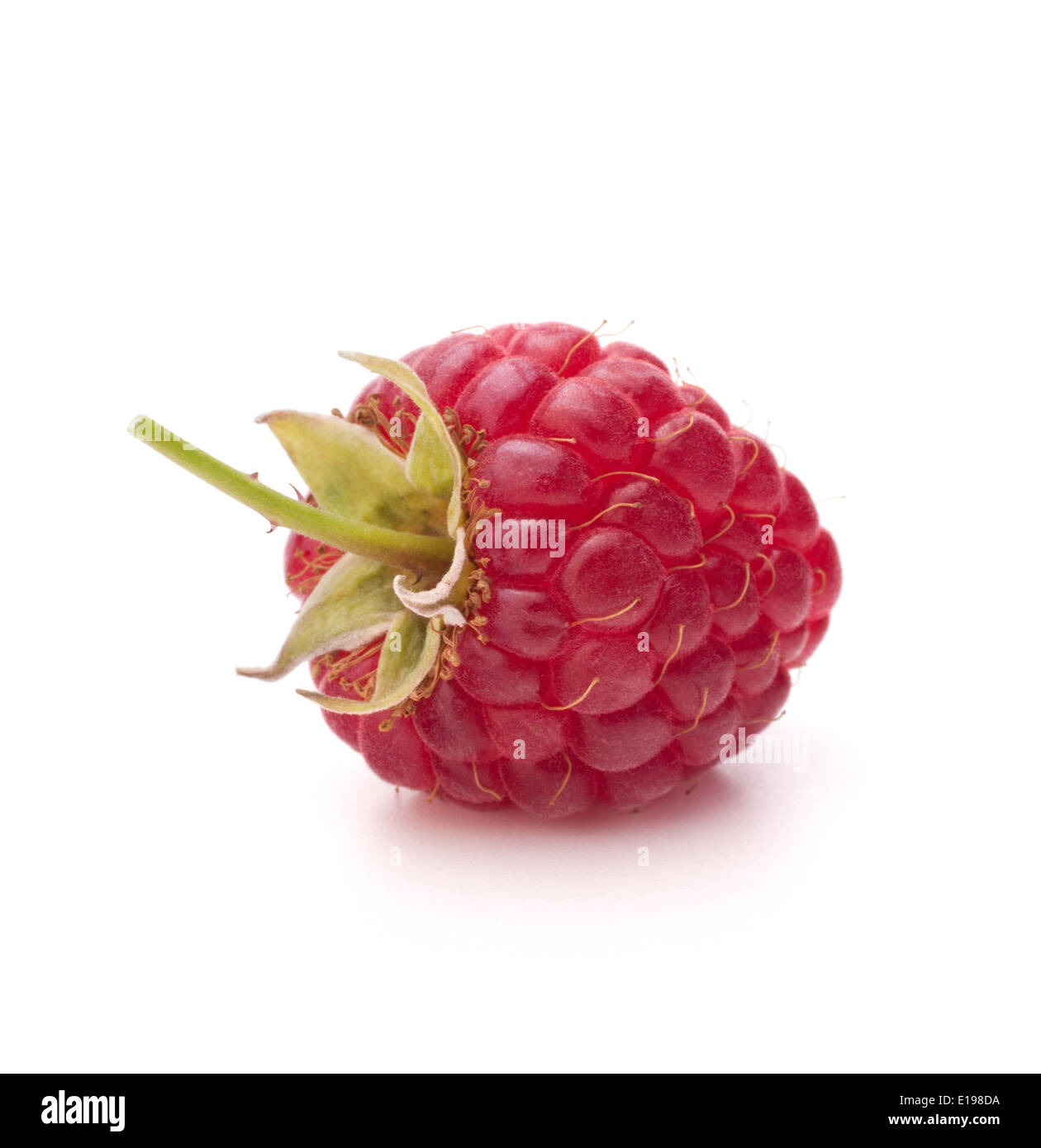Sweet raspberry isolated on white background cutout Stock Photo - Alamy