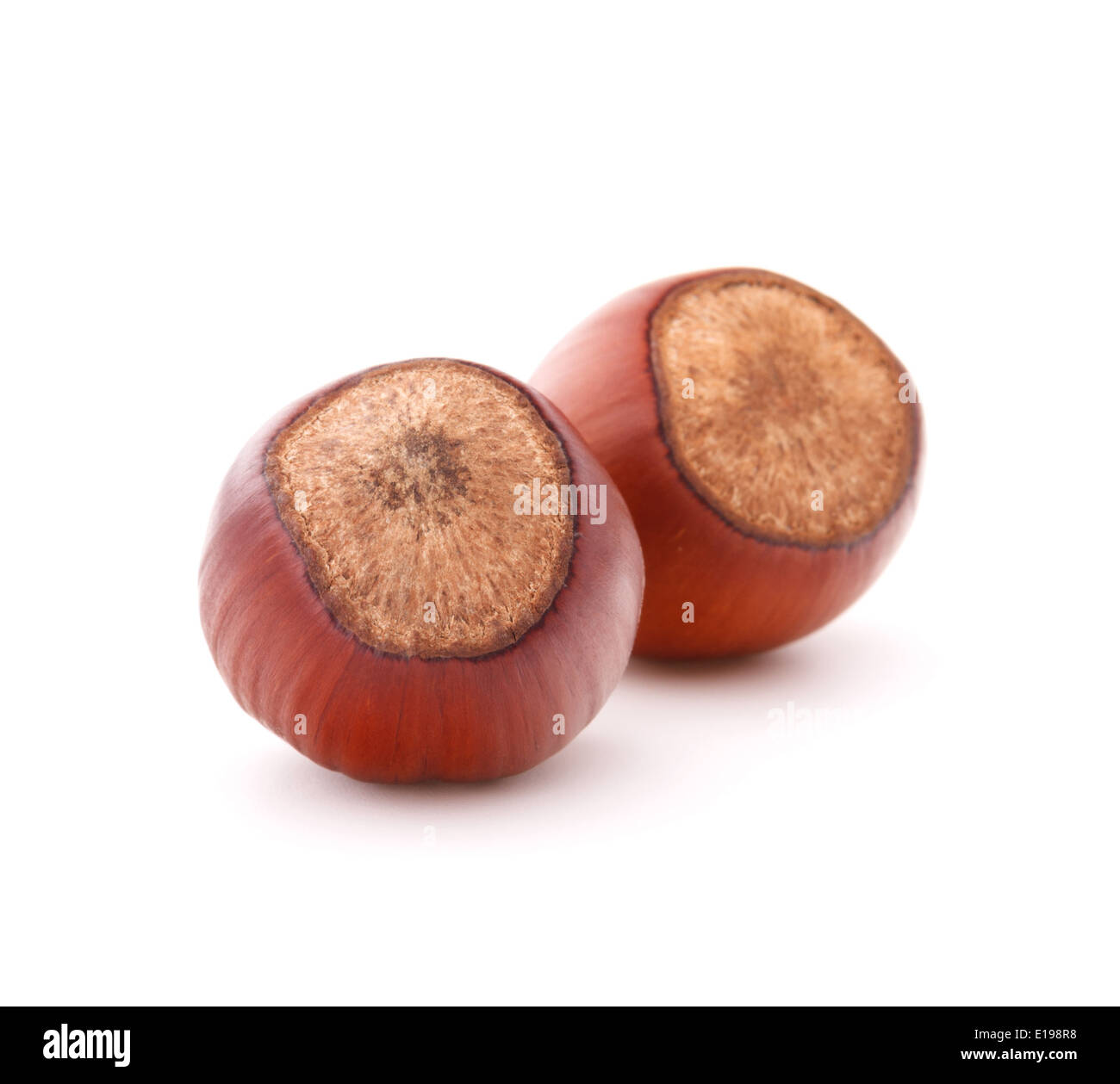 hazelnut or filbert nut isolated on white background cutout Stock Photo ...