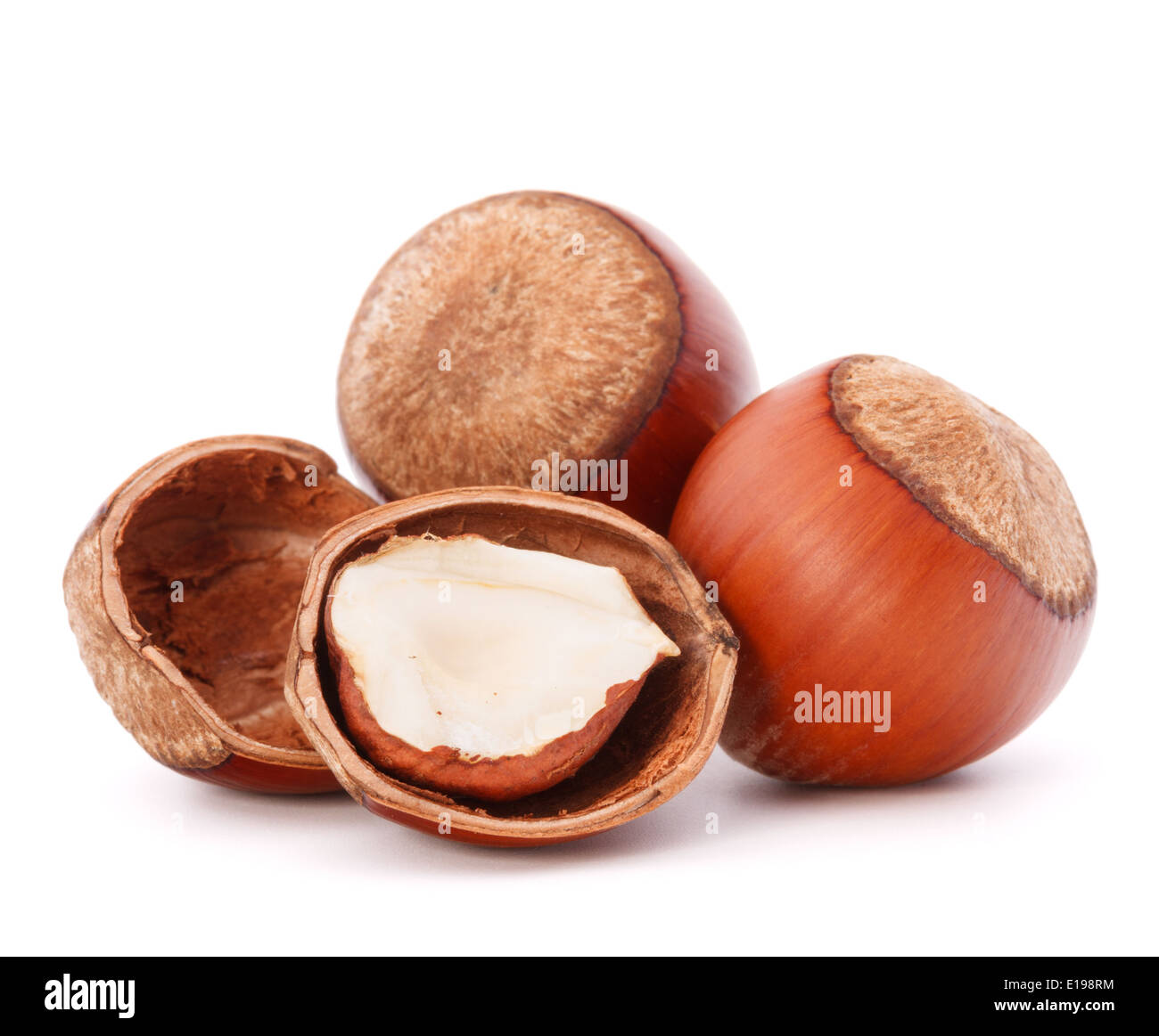 Filbert nut hi-res stock photography and images - Alamy