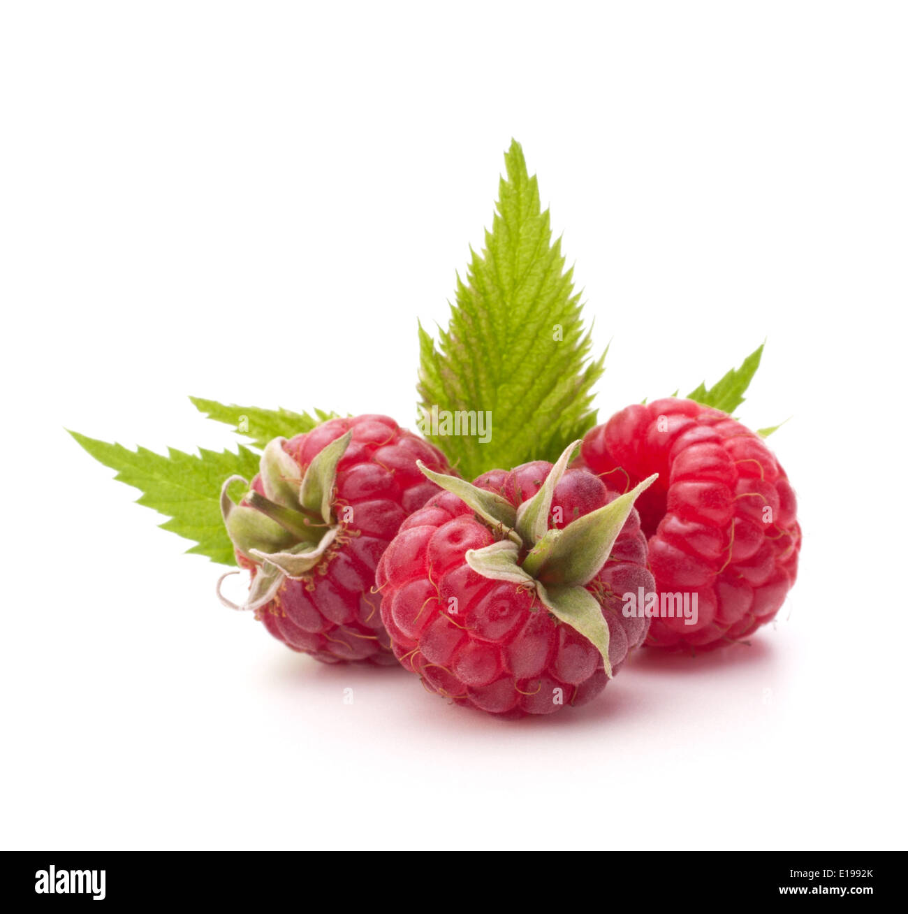 Sweet raspberry isolated on white background cutout Stock Photo - Alamy